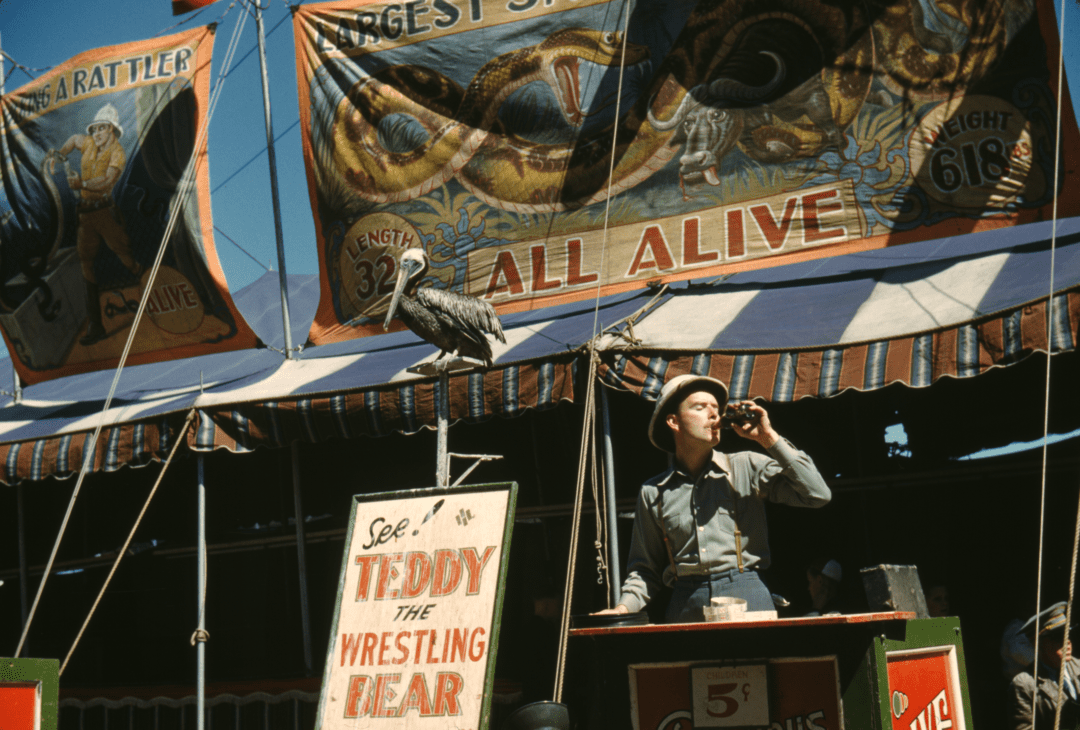35 Awesome Historical Pictures of the Vermont State Fair from 1941