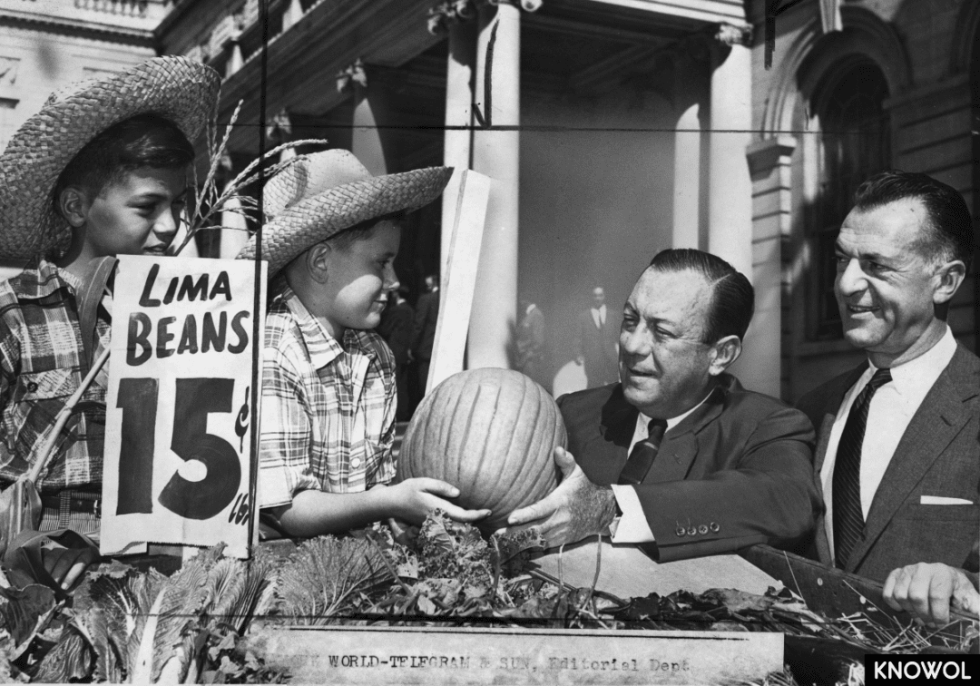 Rediscovering the Bronx’s Vibrant Past: Memories Captured in Vintage ...